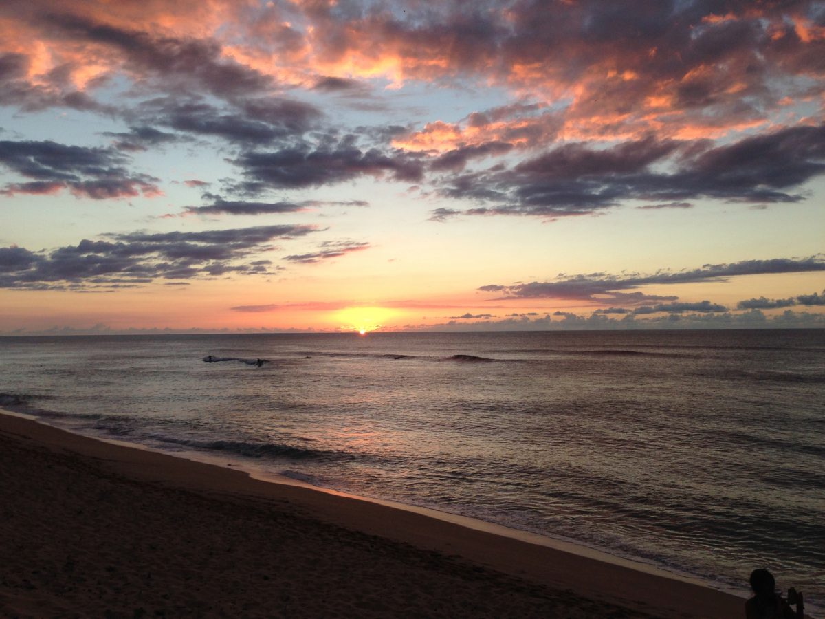 Surfing with Low Back Pain? - Surf and Shore Performance Center